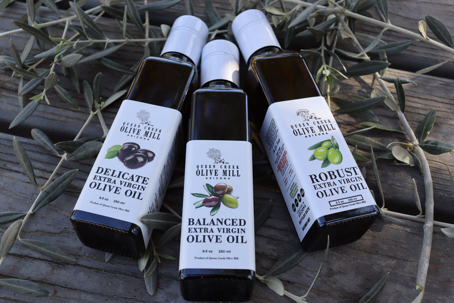 Queen Creek Olive Mill